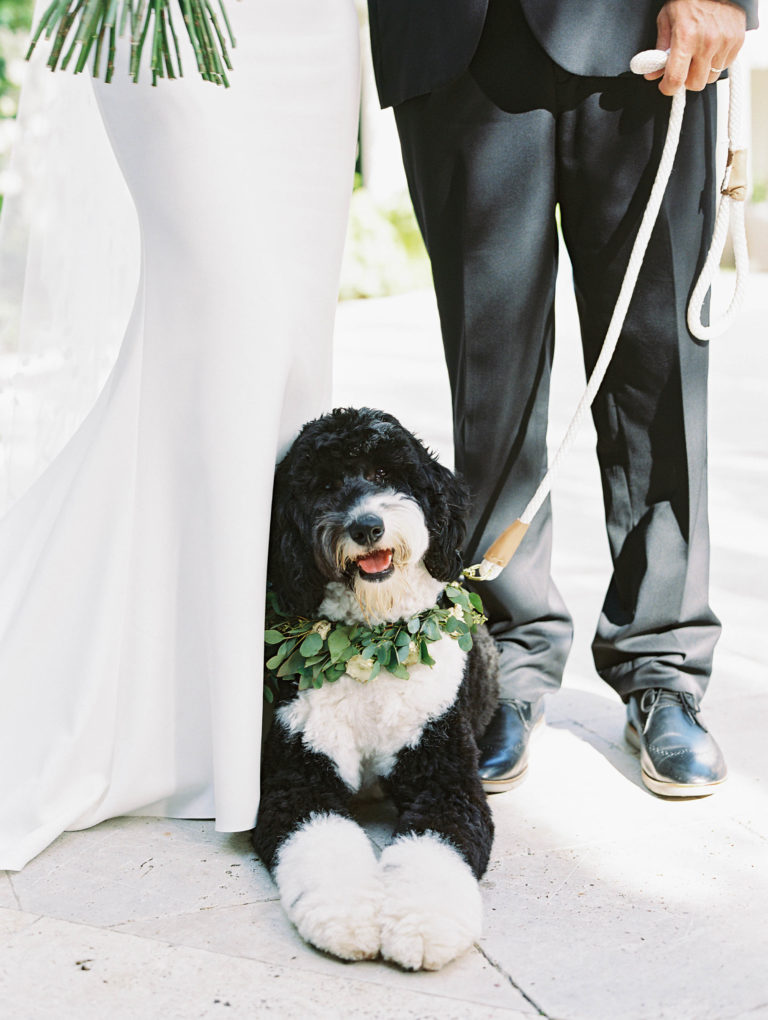 Alison & George – Cannon Green | Showit Blog