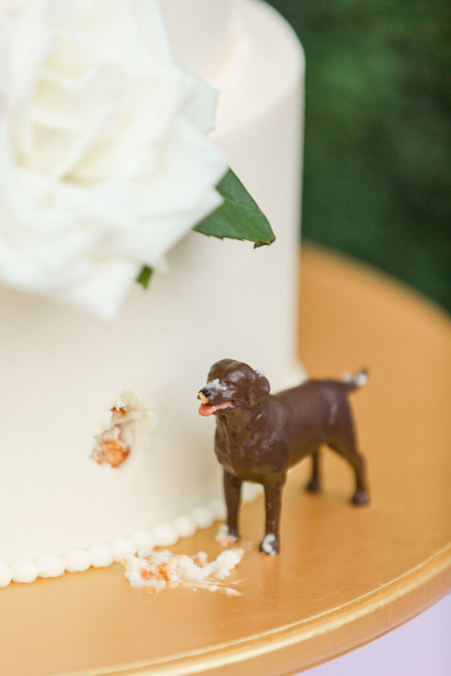 Anna & Chance – Lowndes Grove | Showit Blog